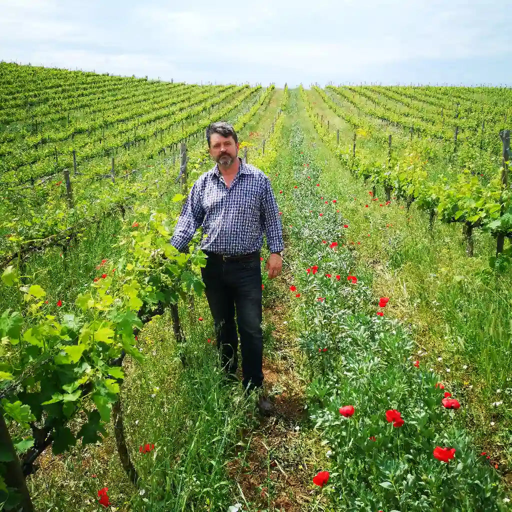 Greek Wines – Natural Wine Dealers