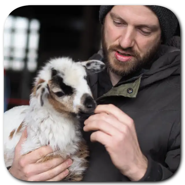 Michael Gindl natural wines – Natural Wine Dealers